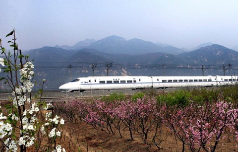 The Fast Train to Shanghai | the Beijinger