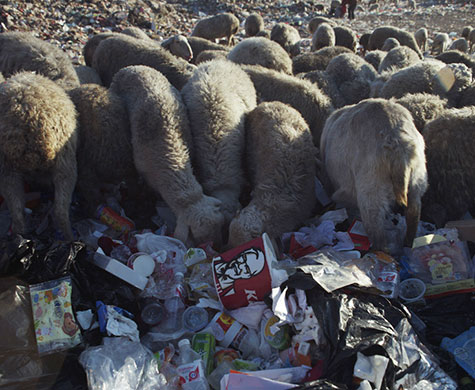 Modern Life is Rubbish: Unregulated Recycling & Beijing’s Stinky ...