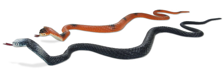 Spring on the Snakes | the Beijinger