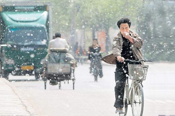 Spring Is in the Air | the Beijinger