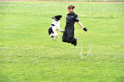 A Dog's Life: Secrets from Beijing Police Dog Training Base | the Beijinger