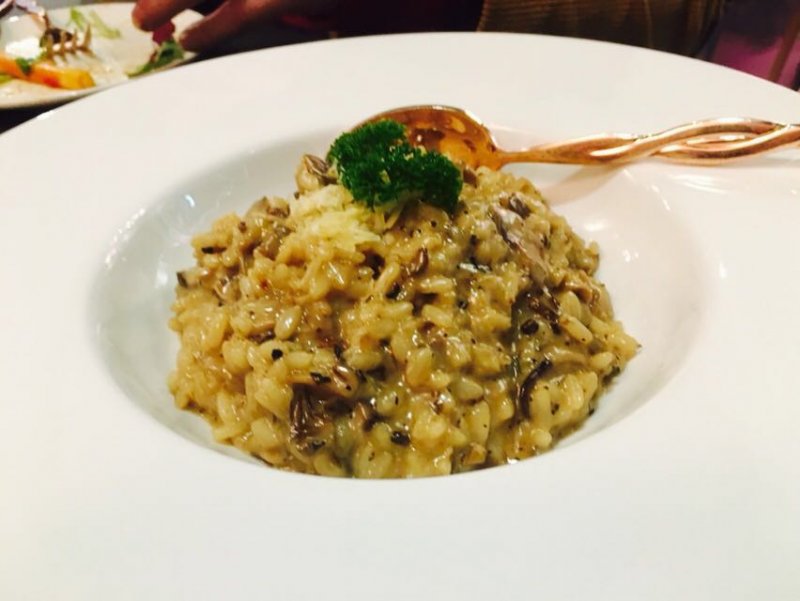 [CLOSED] Bobo | the Beijinger