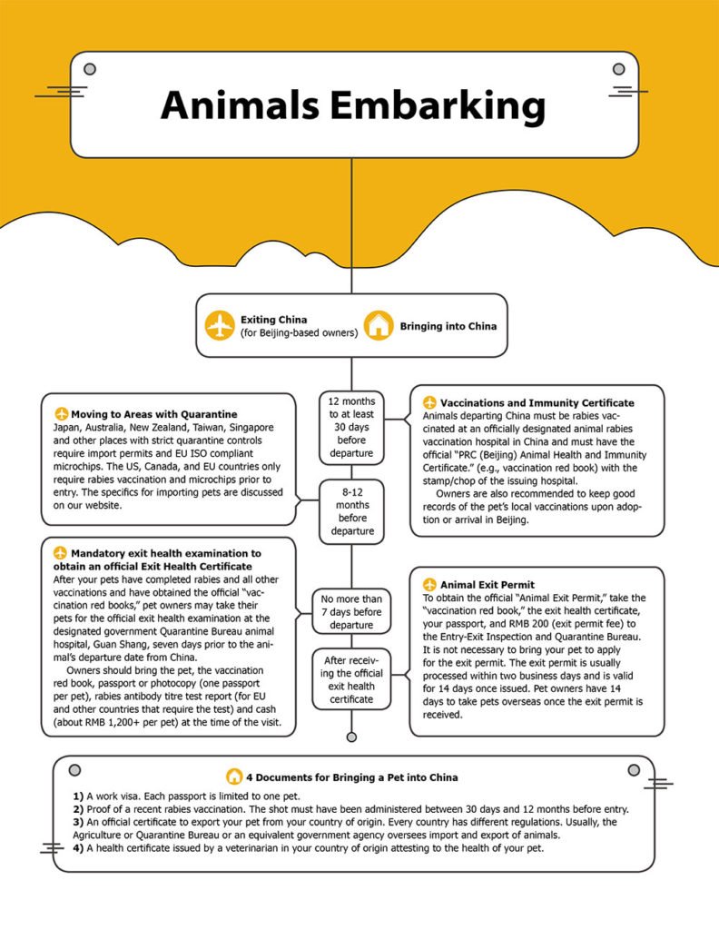 Animals Embarking: Tips for Leaving China With Your Furry Friends | the ...