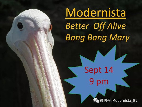 Noise Pollution: Slowdive, Demerit, Rico Nasty, Cancer Bats, Intervals ...