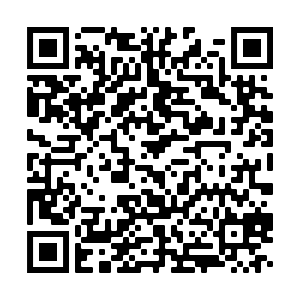 Webinar on the Nasa Double Asteroid Redirection Test (Dart) Mission ...