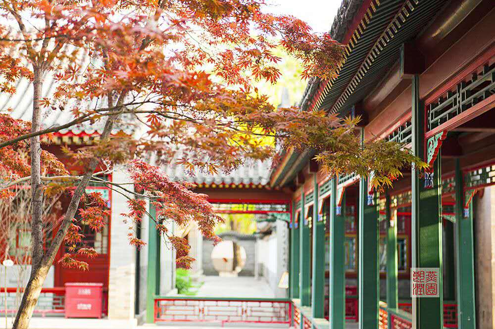 Beida Mba Alumni Sharing & Tips: Building a Career in China | the Beijinger